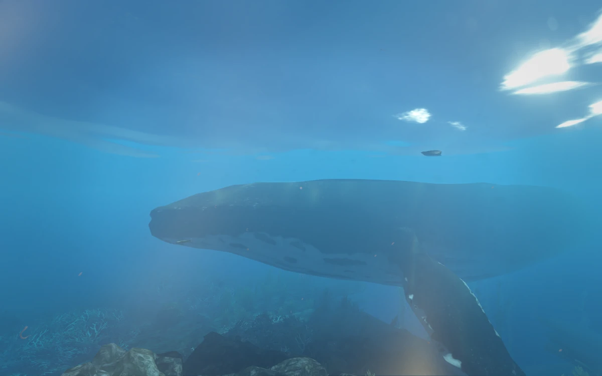 Baleine à bosse | Wiki Stranded Deep | Fandom