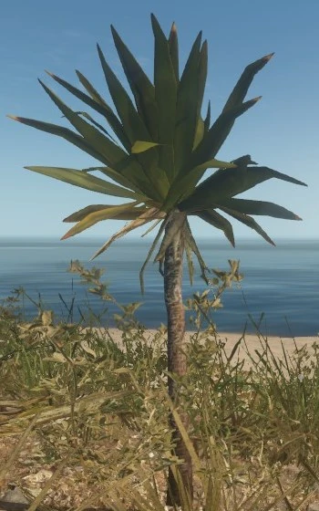 Yucca | Stranded Deep Wiki | Fandom