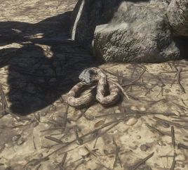Snake | Stranded Deep Wiki | Fandom