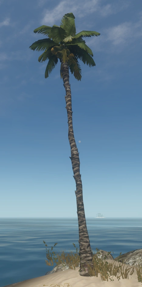 Cocotier | Wiki Stranded Deep | Fandom