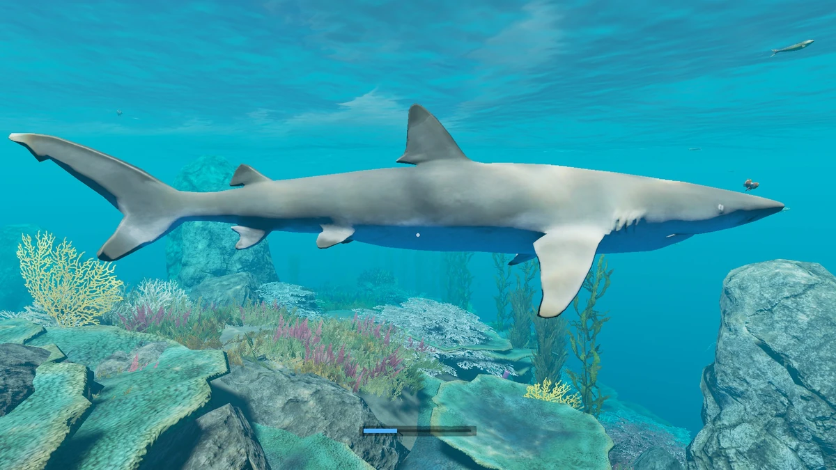Grey Nurse Shark | Stranded Deep Wiki | Fandom