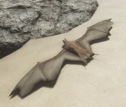 Creatures | Stranded Deep Wiki | Fandom
