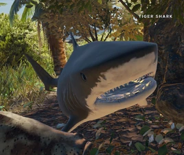 Shark | Stranded Deep Wiki | Fandom