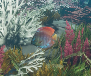Discus Fish | Stranded Deep Wiki | Fandom