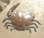 Creatures | Stranded Deep Wiki | Fandom