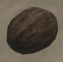 Coconut | Stranded Deep Wiki | Fandom