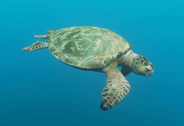 Sea Turtle | Stranded Deep Wiki | Fandom