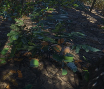 Potato Plant | Stranded Deep Wiki | Fandom
