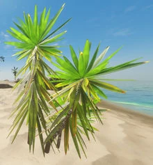 Yucca | Wiki Stranded Deep | Fandom