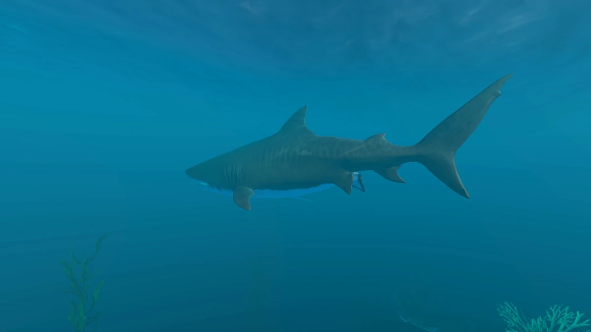 Tigerhai | Stranded Deep Wiki | Fandom