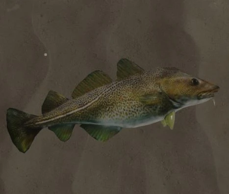 Kabeljau | Stranded Deep Wiki | Fandom