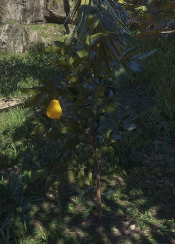 Quwawa Fruit | Stranded Deep Wiki | Fandom