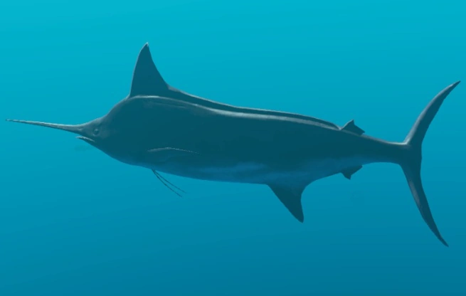 Marlin | Stranded Deep Wiki | Fandom