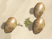 Kartoffeln | Stranded Deep Wiki | Fandom