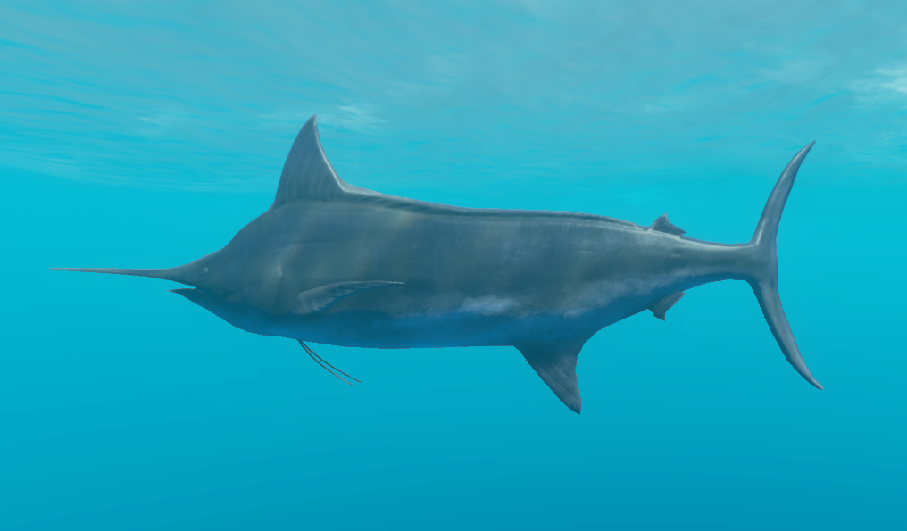 Marlin | Stranded Deep Wiki | Fandom