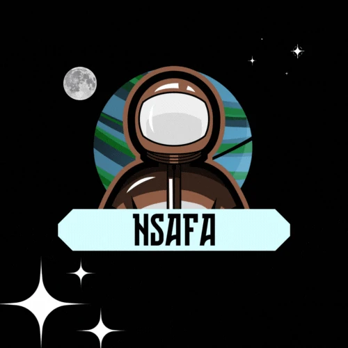 NSAFA | Stranded In Space Wiki | Fandom