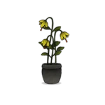 Day 2 | Strange Horticulture Wiki | Fandom