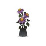 Day 2 | Strange Horticulture Wiki | Fandom