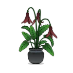 Day 14 | Strange Horticulture Wiki | Fandom