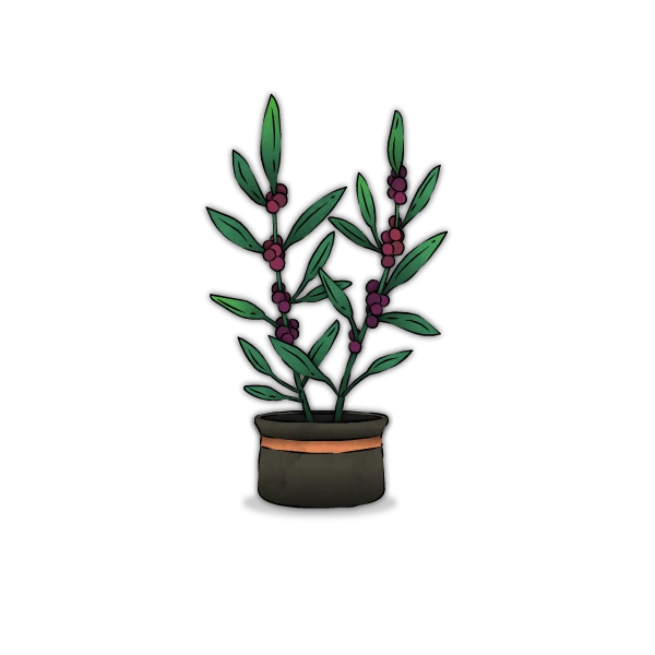 Wild Cole | Strange Horticulture Wiki | Fandom