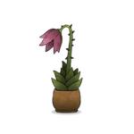 Day 7 | Strange Horticulture Wiki | Fandom