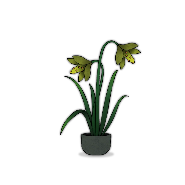 Poliscus | Strange Horticulture Wiki | Fandom