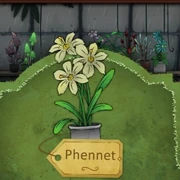 Plants | Strange Horticulture Wiki | Fandom