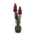 Day 2 | Strange Horticulture Wiki | Fandom