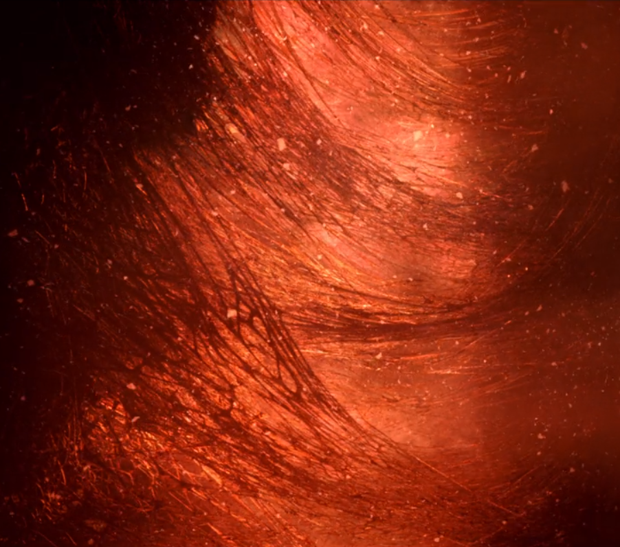 Portal | Wiki Stranger Things (PT-BR) | Fandom