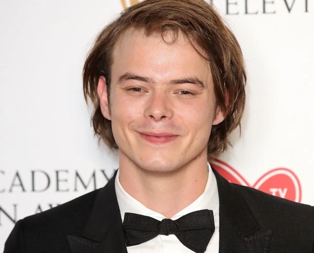 Charlie Heaton | Wiki Stranger Things | Fandom