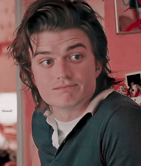 Steve Harrington | Wikia Stranger Things | Fandom