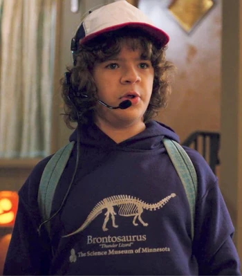 Dustin Henderson | Stranger Things Wiki | Fandom
