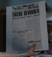 Articles & News | Stranger Things Wiki | Fandom