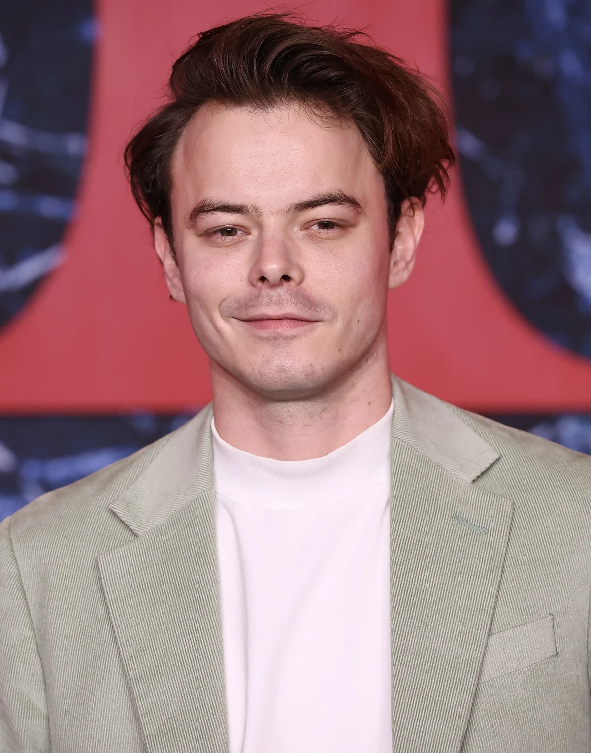 Charlie Heaton | Stranger Things Wiki | Fandom