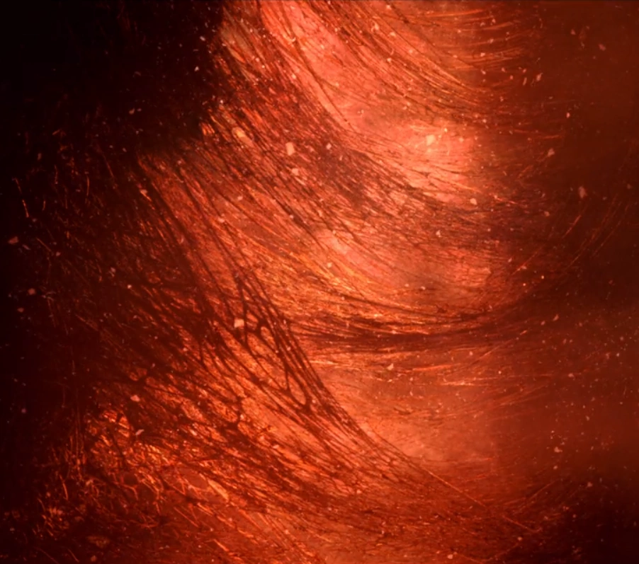 Mothergate | Stranger Things Wiki | Fandom