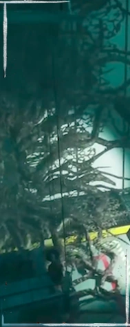 Hawkins National Laboratory (Dead by Daylight) | Stranger Things Wiki ...