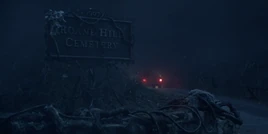Roane Hill Cemetery | Stranger Things Wiki | Fandom