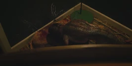 List of Deaths/Gallery | Stranger Things Wiki | Fandom