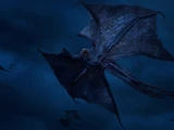 Category:Species | Stranger Things Wiki | Fandom