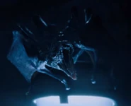 Demobats | Stranger Things Wiki | Fandom