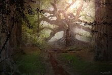 The Upside Down | Stranger Things Wiki | Fandom