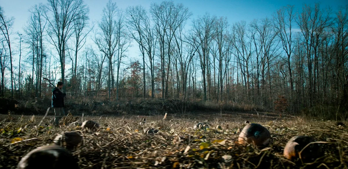 Merrill's pumpkin patch | Stranger Things Wiki | Fandom