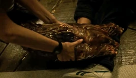 Flesh Thralls | Stranger Things Wiki | Fandom