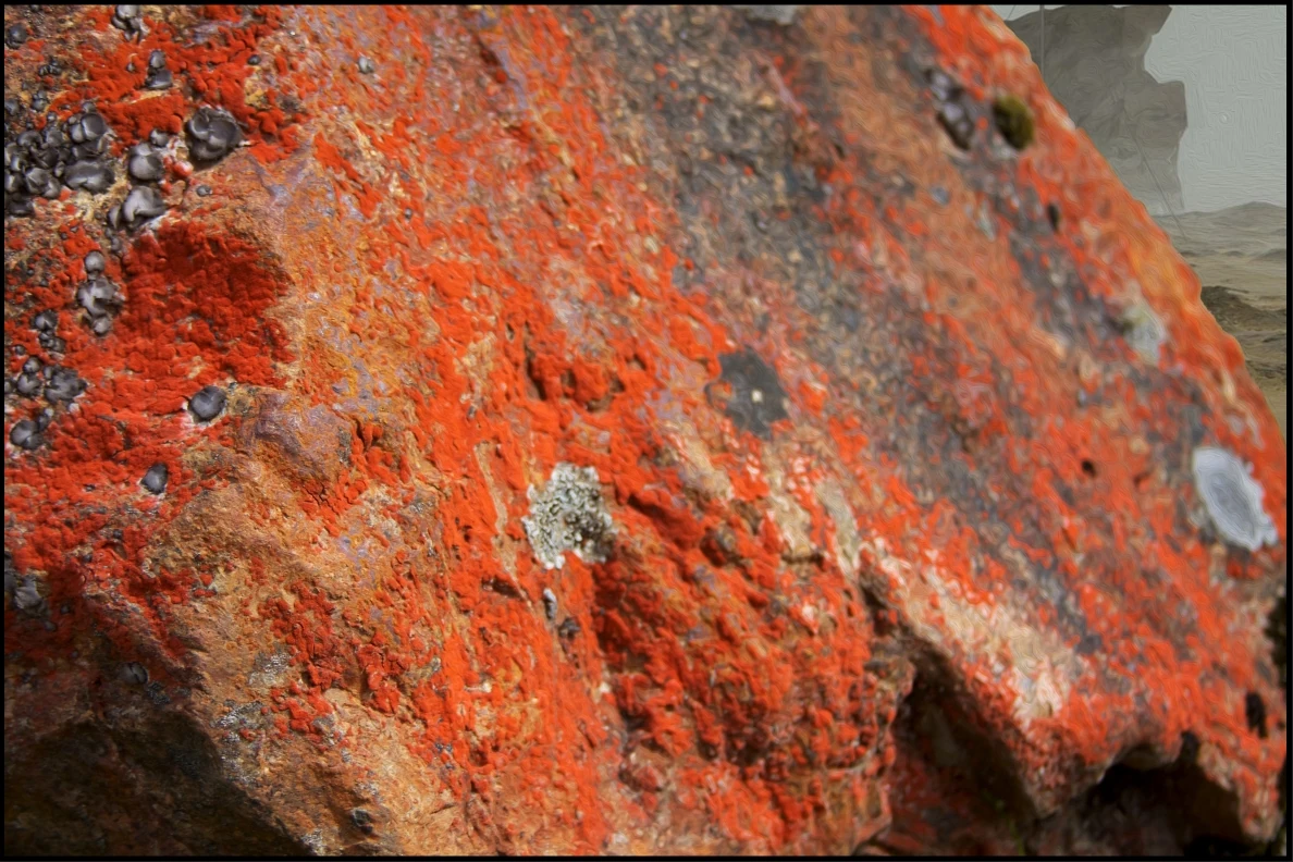 Rust Weed | STRATOVERSE Wikia | Fandom