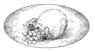 Isabel Evans | Stravaganza Wiki | Fandom