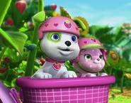 Pupcake | Strawberry Shortcake Berry Bitty Wiki | Fandom