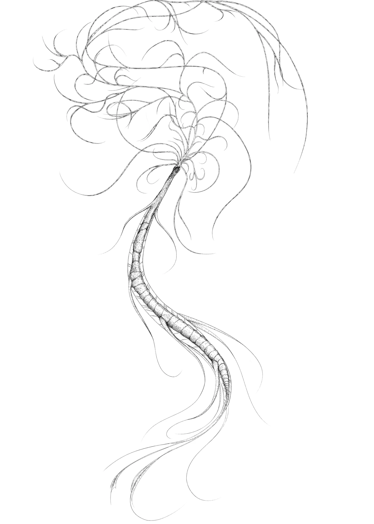 Model Seven | Stray Cat Strut Wiki | Fandom