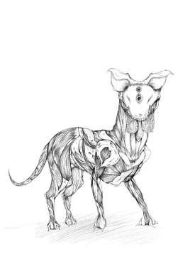 Model Three | Stray Cat Strut Wiki | Fandom