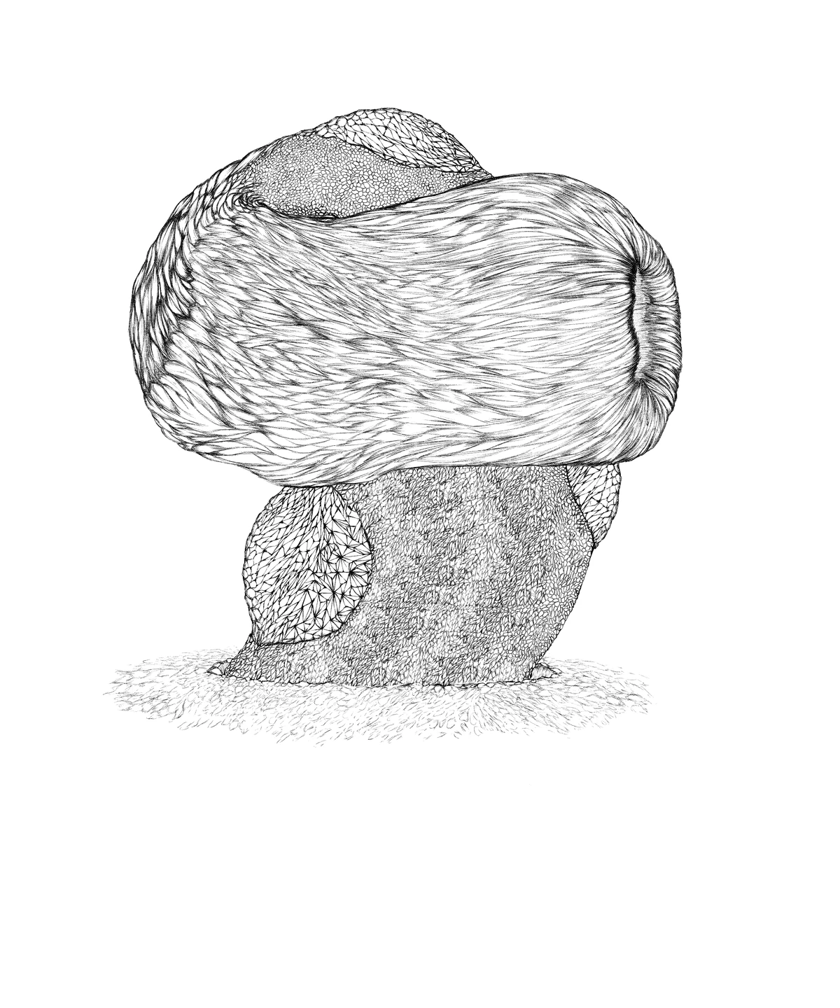 Model Eight | Stray Cat Strut Wiki | Fandom