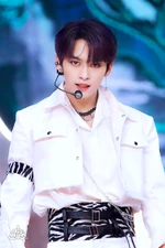 Tiger Inside | Stray Kids Wiki | Fandom